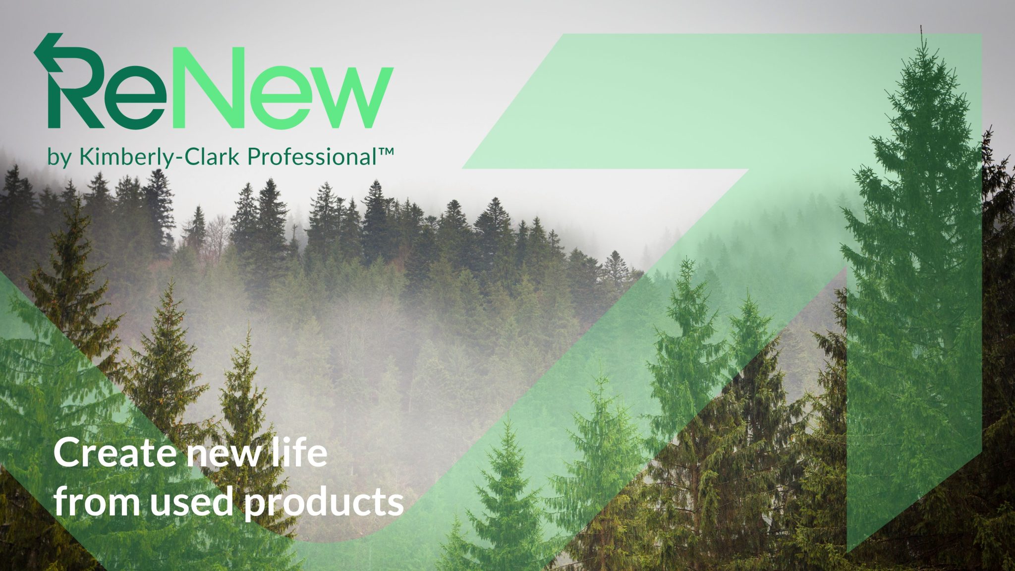 Kimberly-Clark Professional evolves RightCycle into ReNew by Kimberly ...