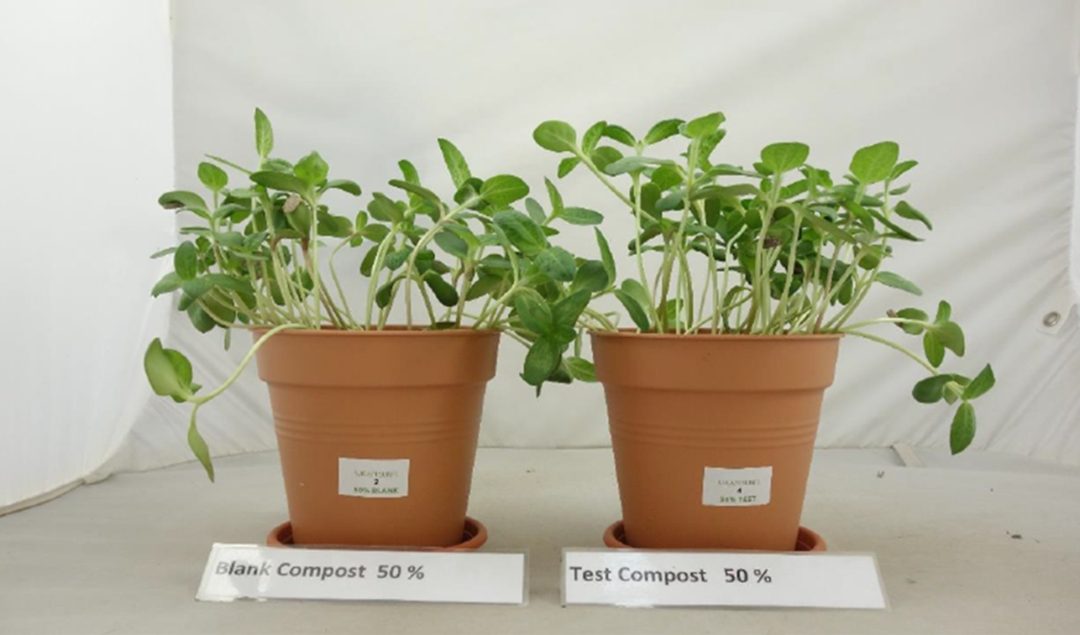 A perfect score: Cortec achieves 100% biobased content in new ...