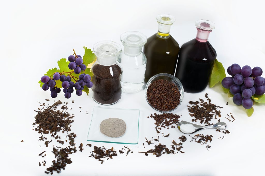 ACI Group partners with Alvinesa Natural Ingredients to distribute its ...